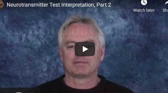 Neurotransmitter Test Interpretation Part 2 – OvitaminPro